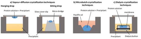 Phase Diagram The Road To The Ess About Sine2020 Portal