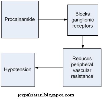 Procainamide