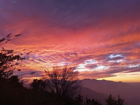 Siddhartha Sarkar On Linkedin Softskillstraining Behaviormanagement Emotionalwellbeing