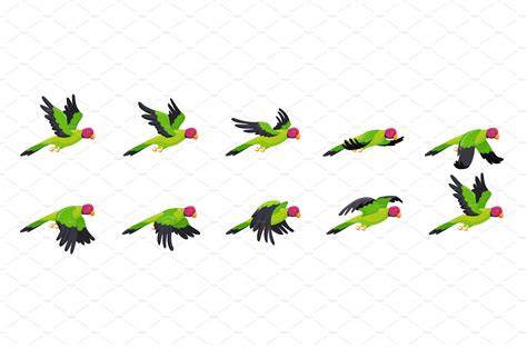Parrot Animation Animated Parrots Vector Graphics ~ Creative Market