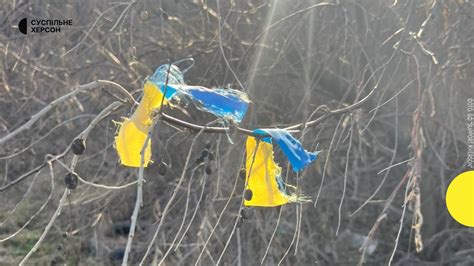 Спротив на лівобережжі Херсонщини синьо жовті стрічки розвішують волонтери — Суспільне