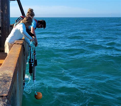 harnessing data science for marine conservation nv5 geospatial