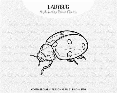 Ladybug Svg Clipart Lady Bug Vector Outline Stamp Cute Love Bug Outline Illustration Insect