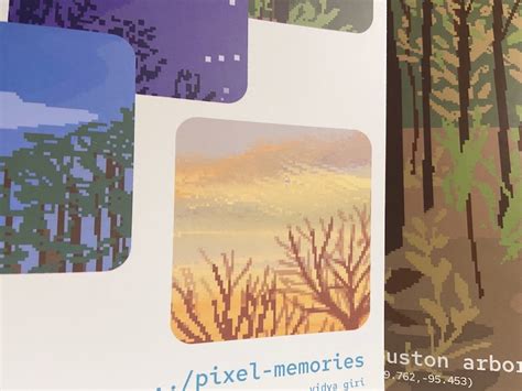 Pixel Memories Vidya Giri