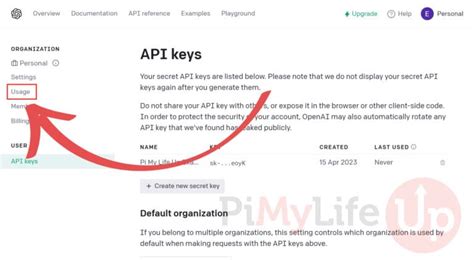Using The Chatgpt Api On The Raspberry Pi Pi My Life Up