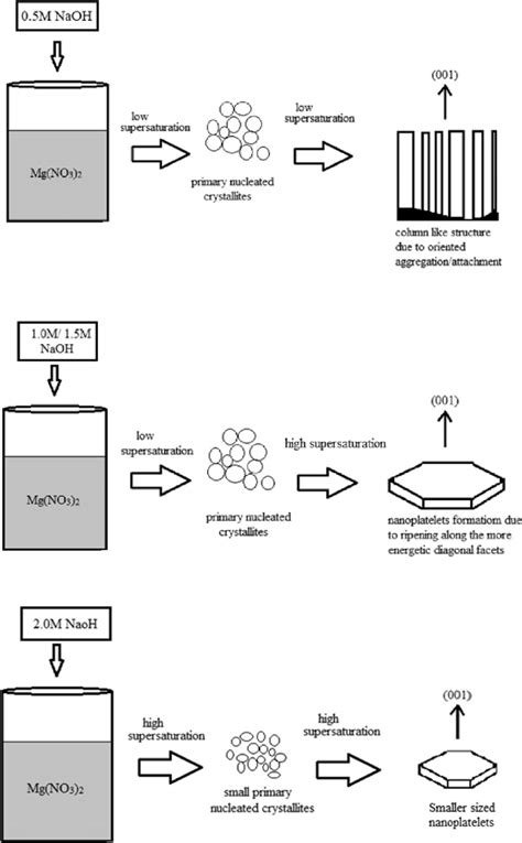 A Pictorial Depiction Of The Proposed Model Describing The