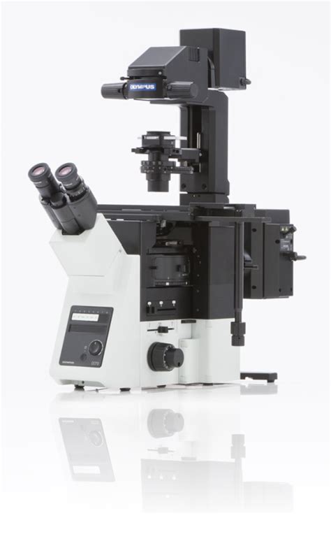 Inverted Microscopes Xlab Solutions
