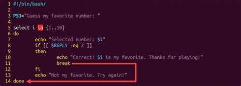 Bash Break How To Exit From A Loop