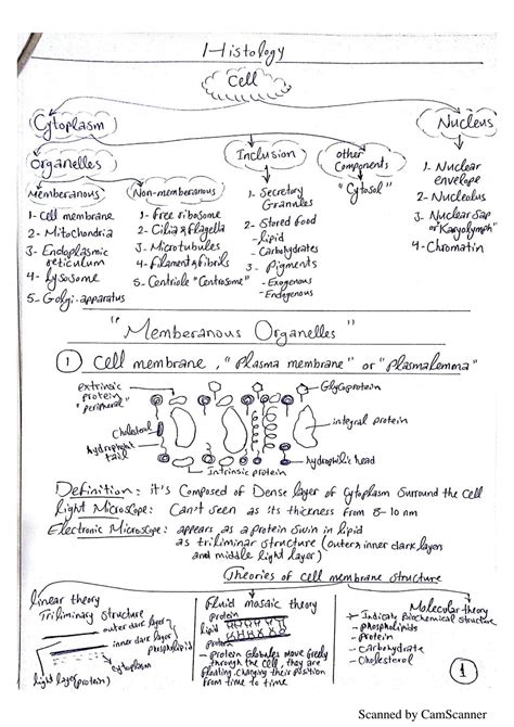 SOLUTION Histology Introduction Studypool