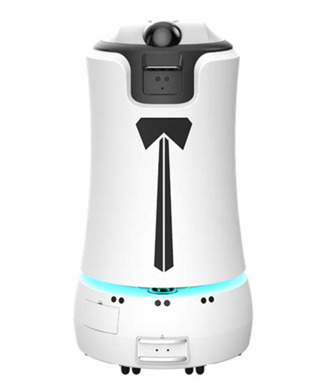 Concierge Robot Remora Networks Solutions