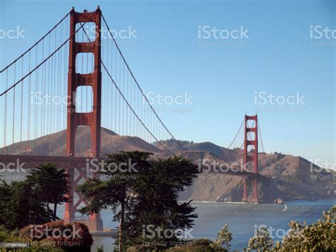 전경에 나무가 있는 골든 게이트 브리지와 먼 거리의 마린 건축에 대한 스톡 사진 및 기타 이미지 건축 관광 관광객