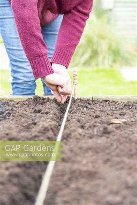 Images In Category Gardening Cultivation Sowing Page 1