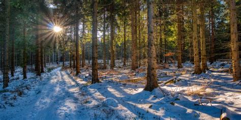 Six Tips For Avoiding Pitfalls As You Look To Buy Recreational Property Landthink