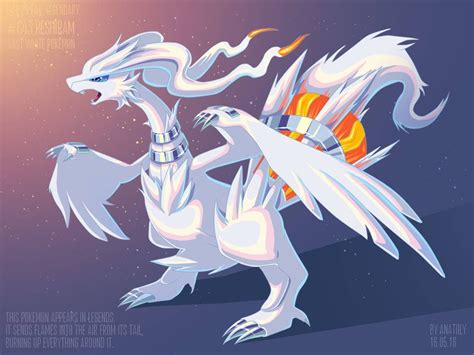 Reshiram Pokemon Dragon Pokemon Pokémon Black And White
