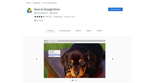 The Google Chrome Trick That Ll Save You Time When Downloading Files