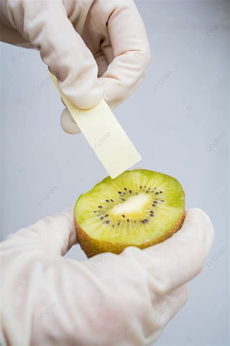 Gambar Background Ph Vektor Dan File Psd Untuk Unduh Gratis Pngtree