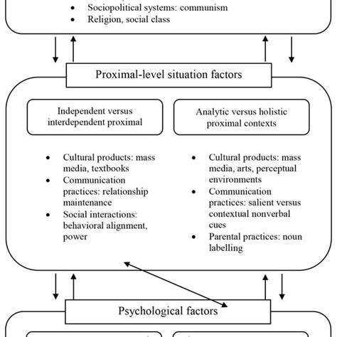 Illustration Of The Cultural Cognitive Affective Processing System
