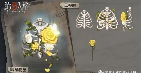 第五人格新赛季一金三紫“排位珍宝”上线，入殓师金色挂件来了！挂件入殓师珍宝新浪新闻