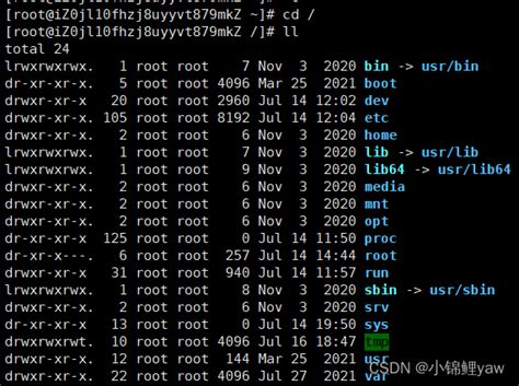 Linux基本使用 Csdn博客