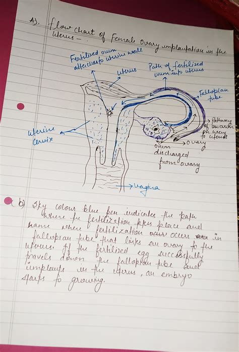 [solved] a with the aid of drawing a flow chart summarising the
