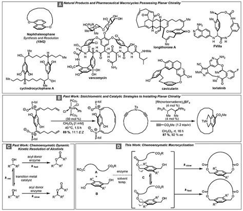 Science：平面手性大环化合物的生物催化合成 X Mol资讯