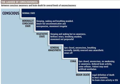 Persistent Vegetative State A Medical Minefield New Scientist