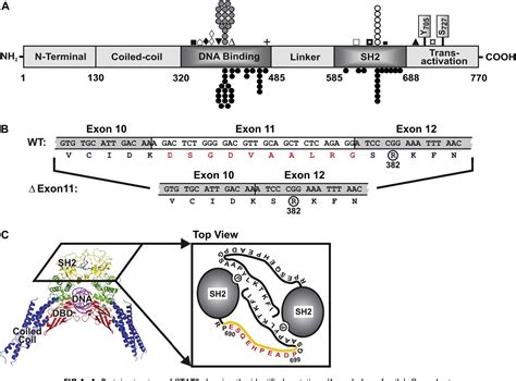 Abscess Of Skin AND OR Subcutaneous Tissue Semantic Scholar