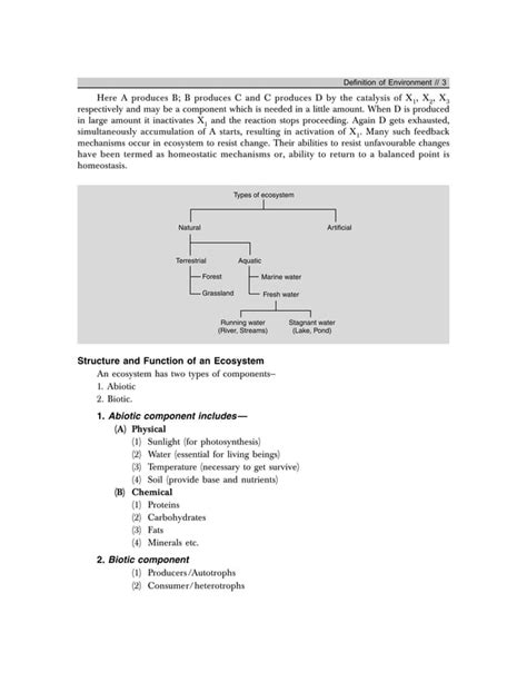 Definition Of Environment Pdf