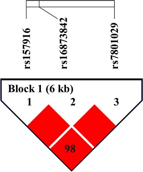 Haplotype Block For Snps In Linc Pint The Value Of The Block Is D