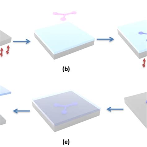 Diagram Of Dmd Maskless Lithography Device Download Scientific Diagram