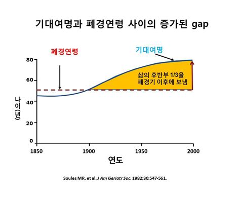 생리주기 차트 호르몬