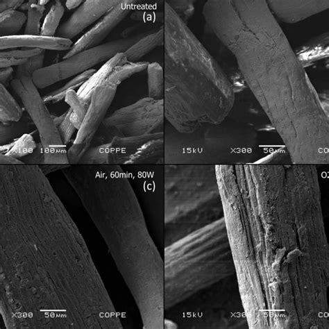 Surface Lignin Removal On Coir Fibers By Plasma Treatment For Improved Adhesion In Thermoplastic