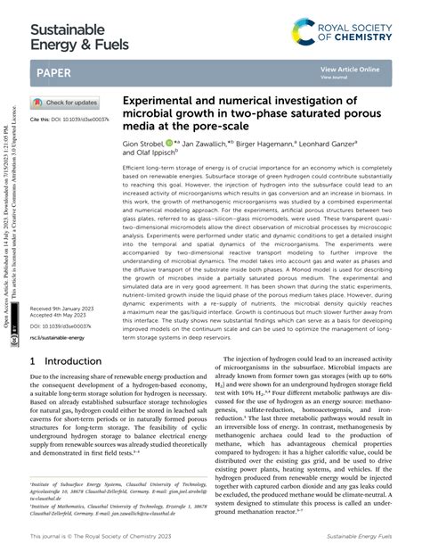 Pdf Experimental And Numerical Investigation Of Microbial Growth In Two Phase Saturated Porous