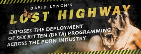 Sex Kitten Beta Programming Artofit
