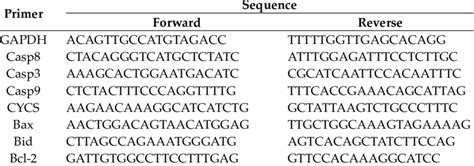 The Sequence Of Primers Used In This Work Including GAPDH Casp8 Download Scientific Diagram