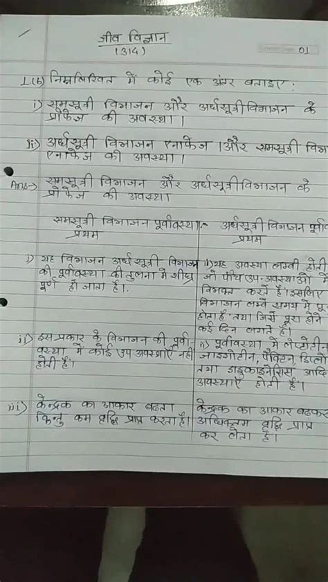 Nios Hand Written Solved Assignment 2025 All Subjects At ₹ 49 Piece Karol Bagh New Delhi