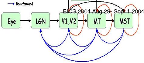 Figure 2 From A Connectionist Approach For Visual Perception Of Motion