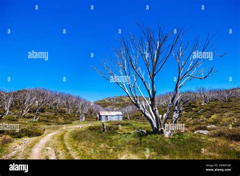 Whites River Hut In Kosciuszko National Park In Australia Stock Photo