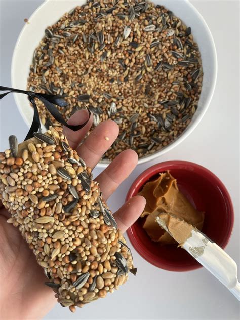 Vogelfutteranhänger 3 Varianten Meandthewildones