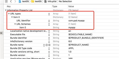 How To Get The Callers Info When A App Using Url Scheme To Open My App In Ios Stack Overflow