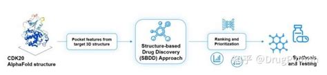 Chem Sci Alphafold加速了人工智能药物的发现：一种新型cdk20小分子抑制剂 知乎