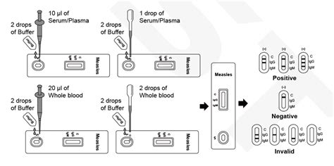 1 X Measles Igglgm Rapid Test Hibernia Medical
