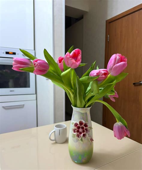 Mikarito Эрх нь хүндлэгддэг үүрэг нь ойлгогддог дуу хоолой нь