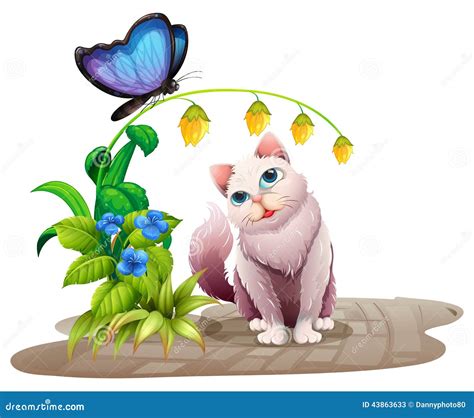 Butterfly Vs Cat Eye Glasses At Marjorie Clouse Blog