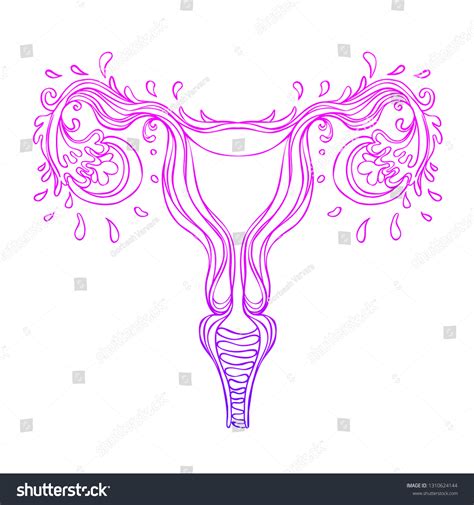 Decorative Drawing Female Reproductive System Flowers Stock Vector