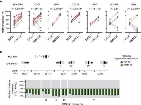 Deconvolution Of Bulk Tumors Into Distinct Immune Cell States Predicts Colorectal Cancer