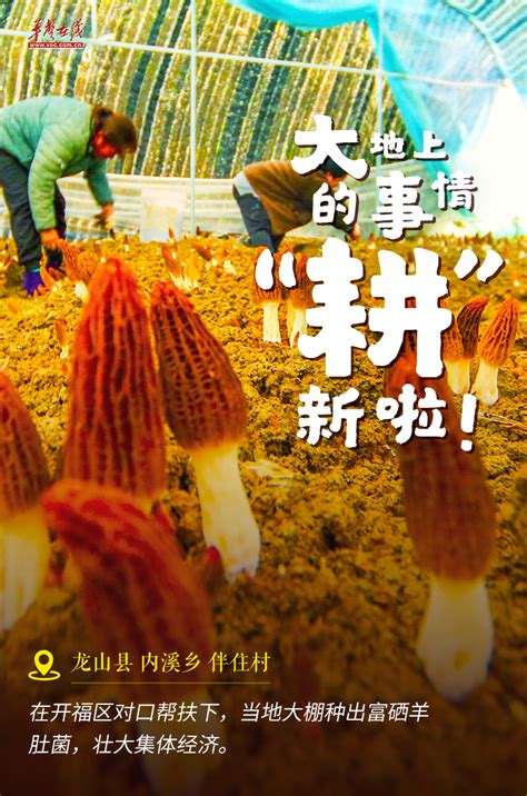海报大地上的事情耕新啦 综合 湖南在线 华声在线