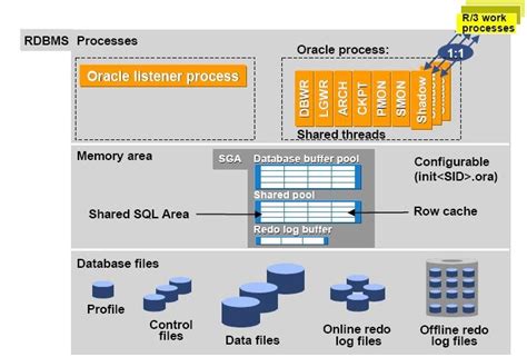 SAP BASIS Security Database Administration