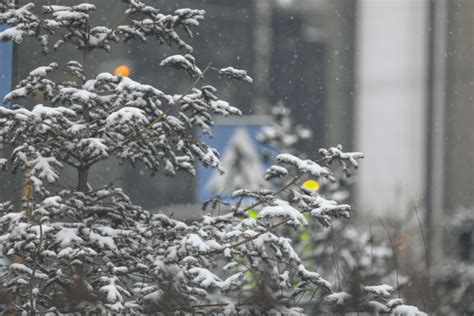 Ихэнх нутгаар хүйтэрч Хангайн уулархаг нутгаар хур тунадас говийн бүс нутгаар бороо орно