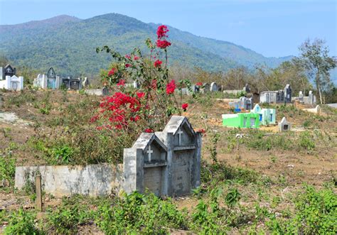 Myit Sone Nel Finbergs Travels